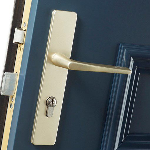 Porte palière | FICHET